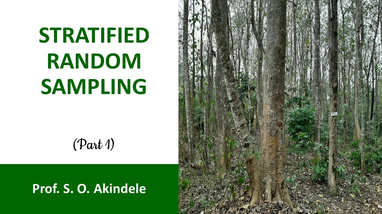 Stratified Random Sampling Part 1 Youtube