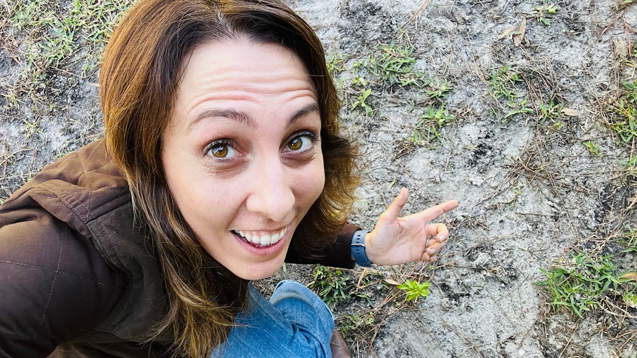 Sandy Soil Challenges Grow A Killer Garden Anyway Learnfast Blog