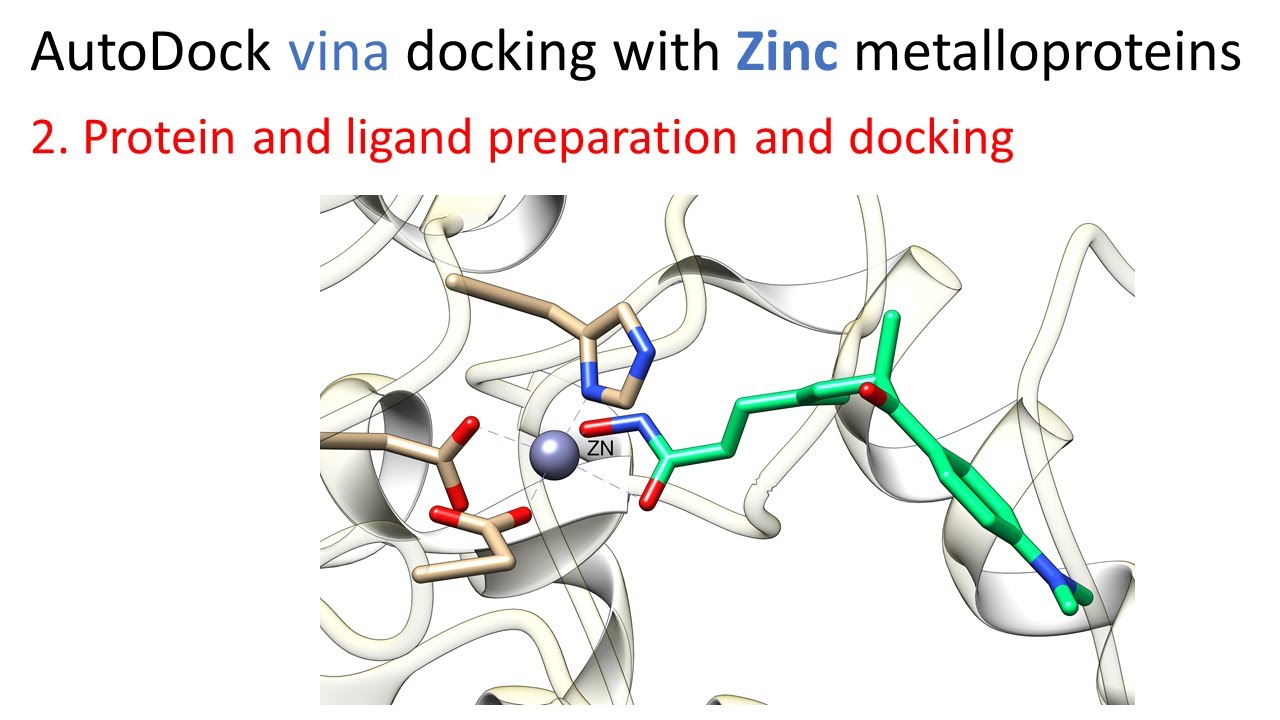 2 Protein And Ligand Preparation And Docking Autodock Vina Docking