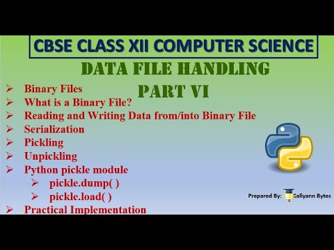 Binary Files In Python Data File Handling Part 6 Cbse Class 12