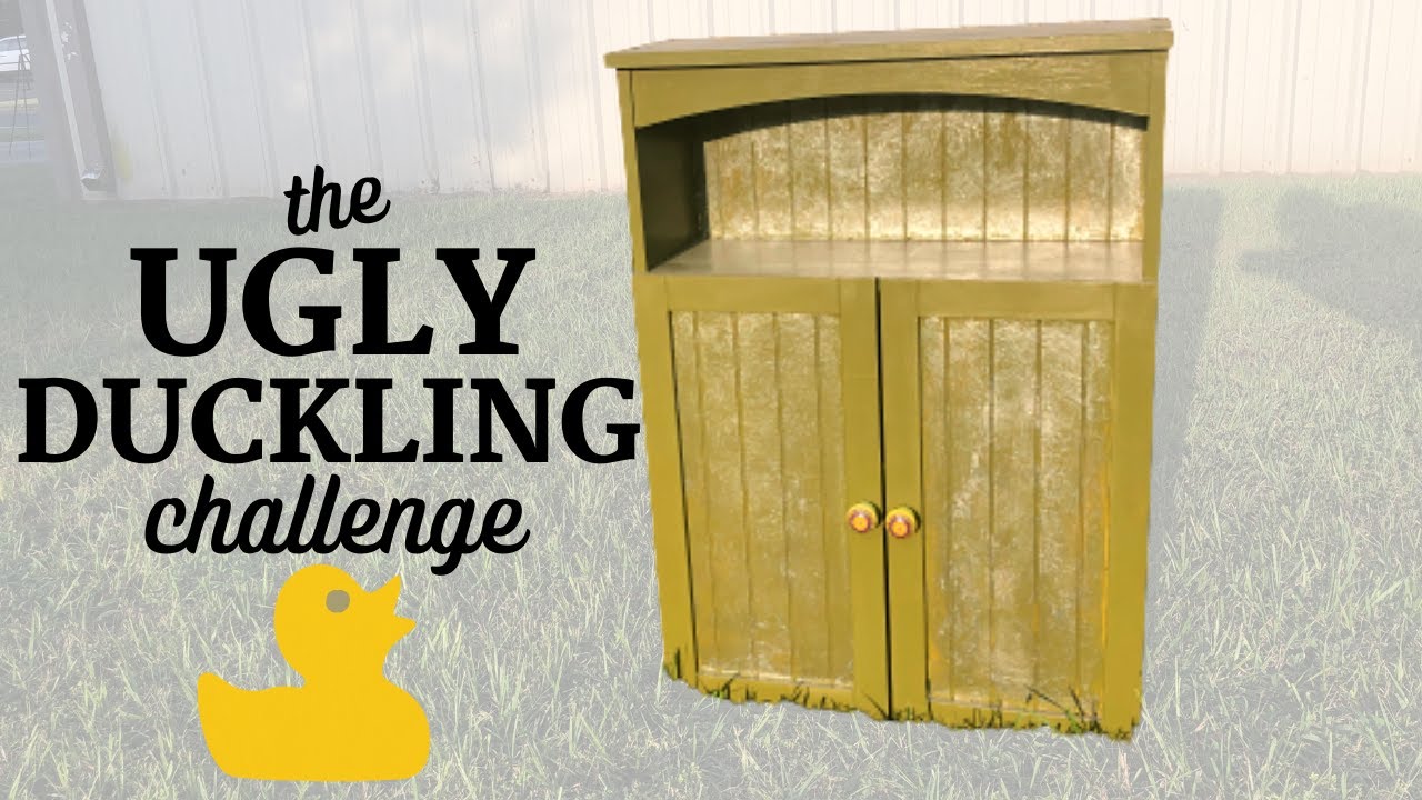 Complete Transformation Cabinet Makeover Ugly Duckling Challenge