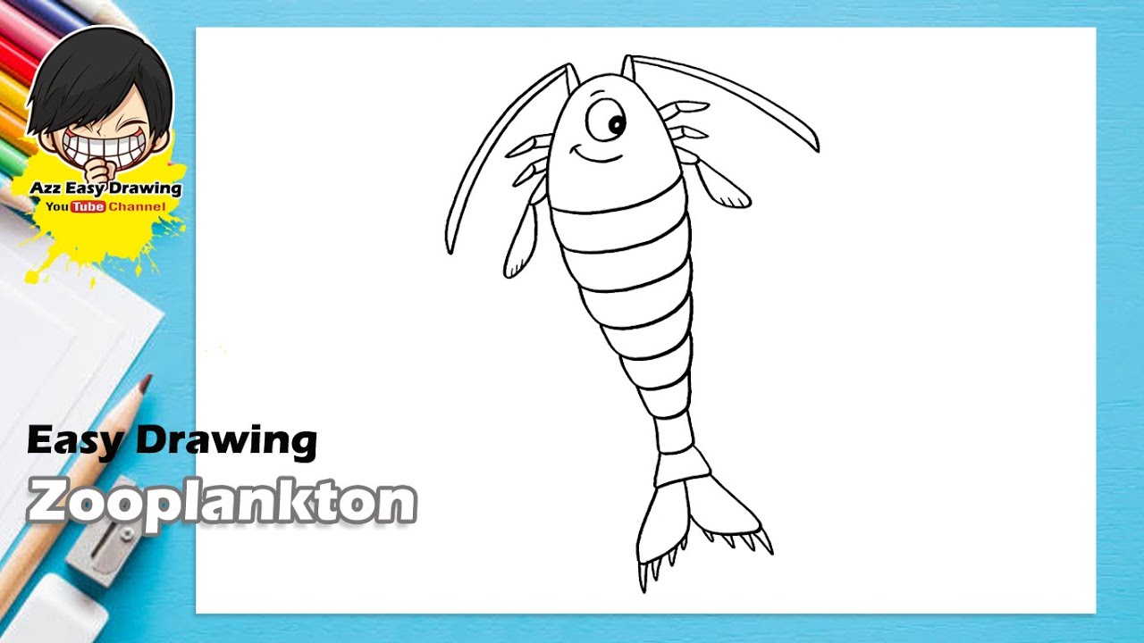 Zooplankton Drawing Zooplankton Amnh