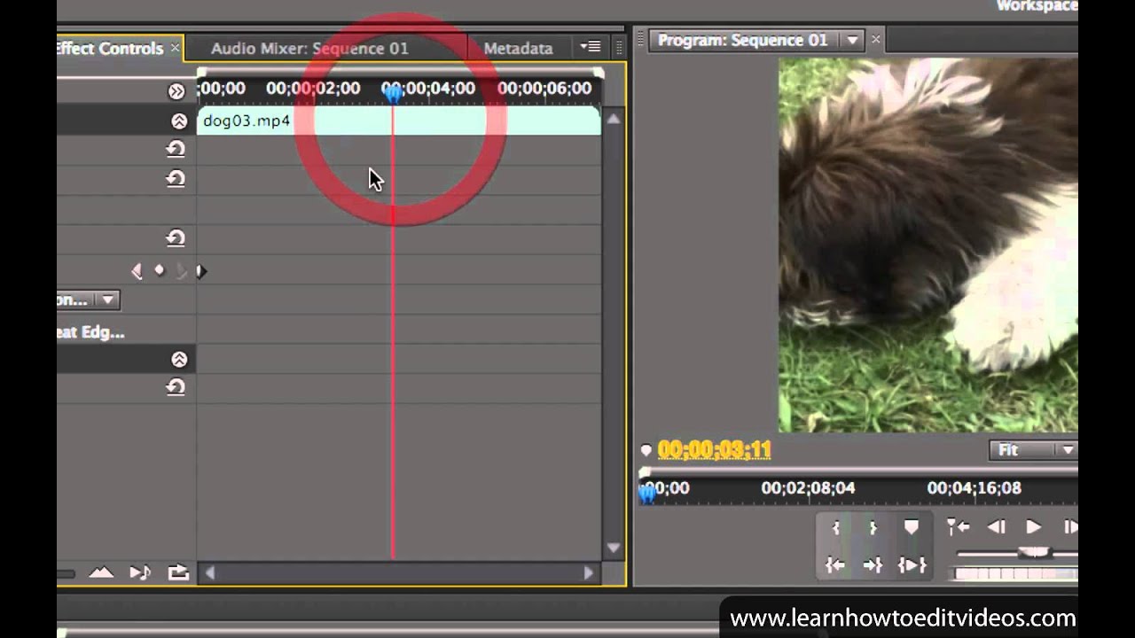 Adobe Premiere Pro Cs5 Basics Tutorial Moviemserl