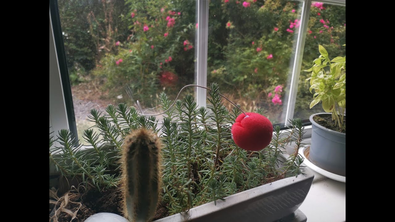 Shakespeare Sonnet 4 Youtube