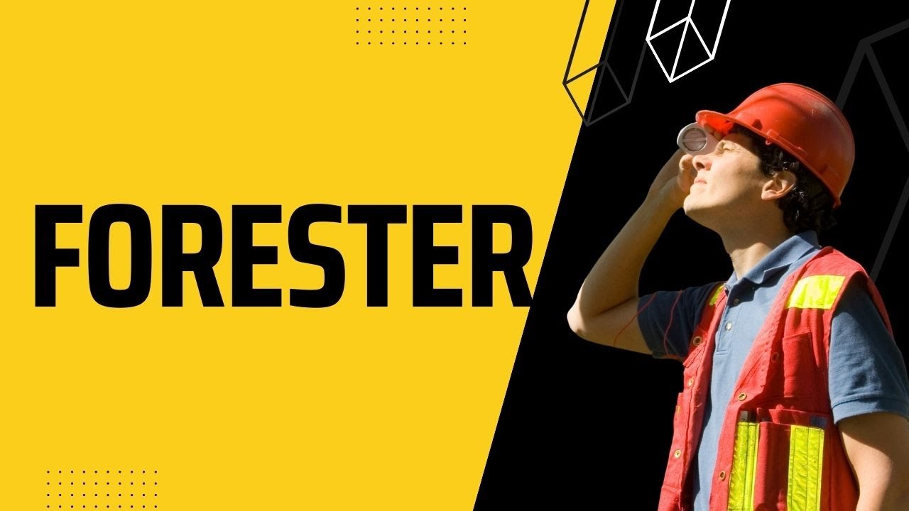 What Does A Forester Do Careers In Forestry Becoming A Forester
