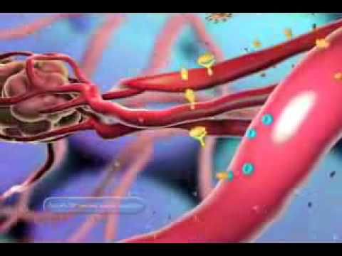 Animation Cancer Youtube