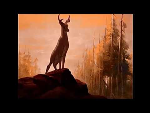 Bambi 1942 Scene Fighting Bucks Youtube
