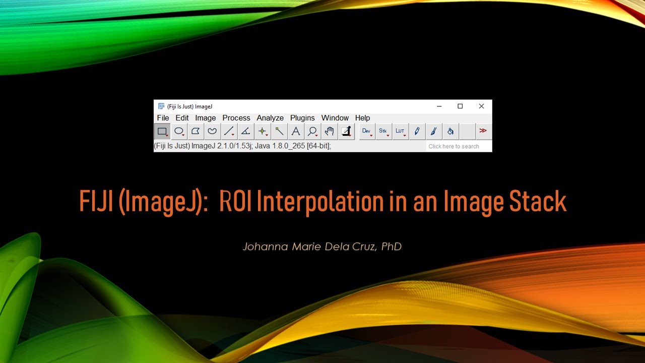Fiji Imagej Roi Interpolation In An Image Stack Youtube