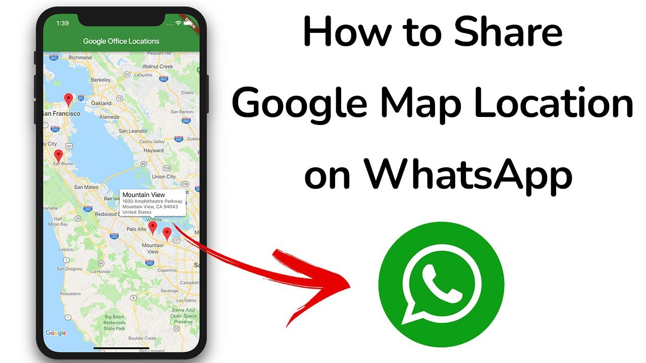 How To Share Google Map Location On Whatsapp Youtube