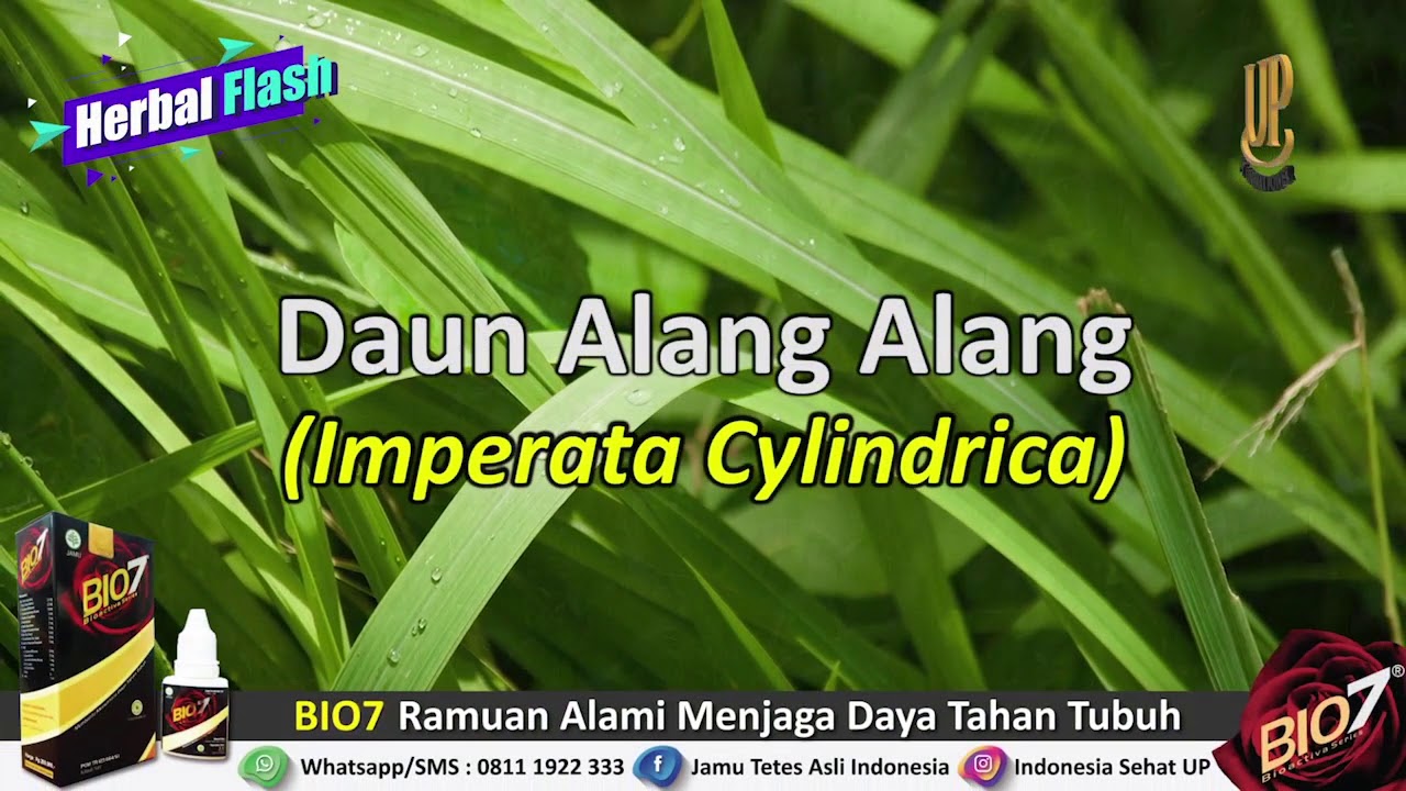 Herbal Flash Bio7 Youtube