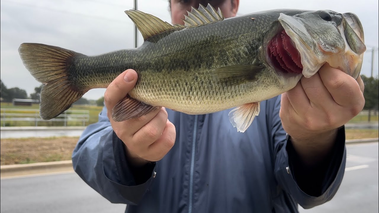 Epic Day Of Flood Fishing Youtube