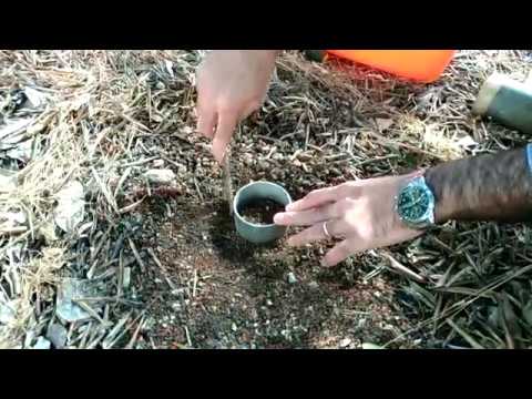 Soil Core Sampling Youtube