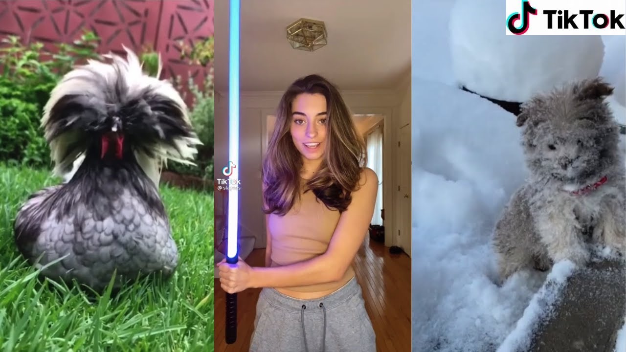 Are You Ok Buddy Best Tik Tok Compilation March 2022 Youtube