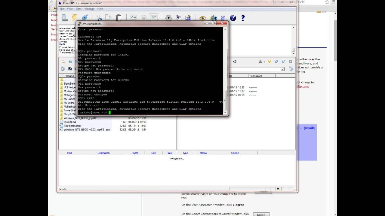 Cmis320 Nova And Sqlplus Youtube