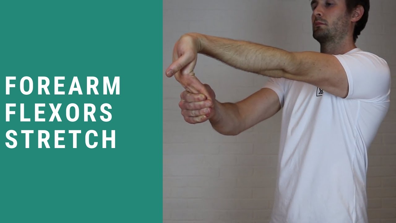 Forearm Flexors Stretch Youtube