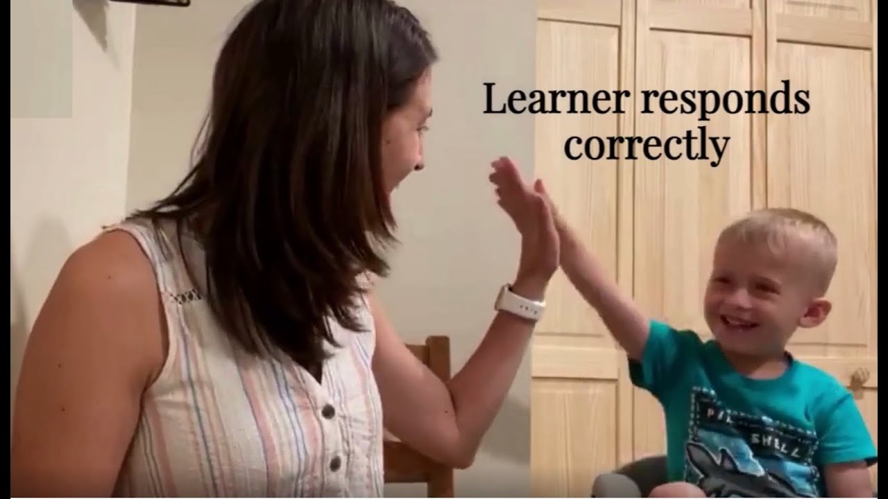 Errorless Teaching Youtube