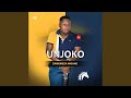 Umamemeza Feat Umzukulu Unjoko Topic Mp3 Music & Mp4 video downloads