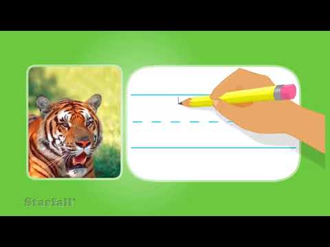 Starfall Zebra - VidoEmo - Emotional Video Unity