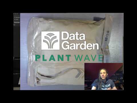 Plantwave First Look Youtube
