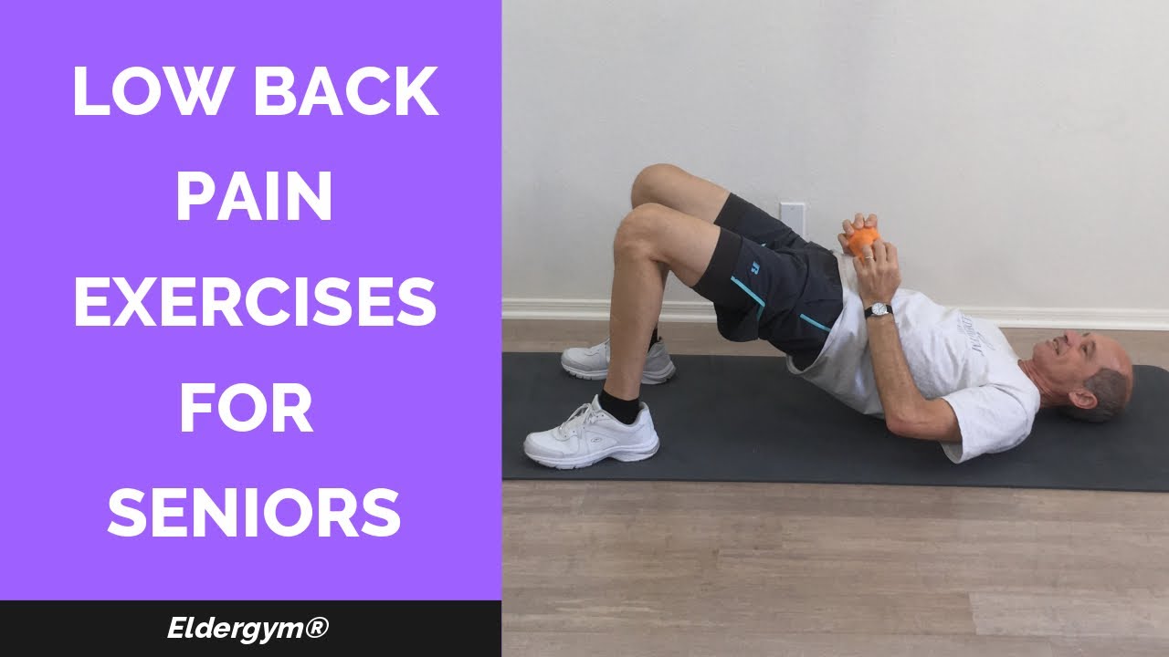 Easy Exercises For Seniors With Lower Back Pain Infoupdate Org