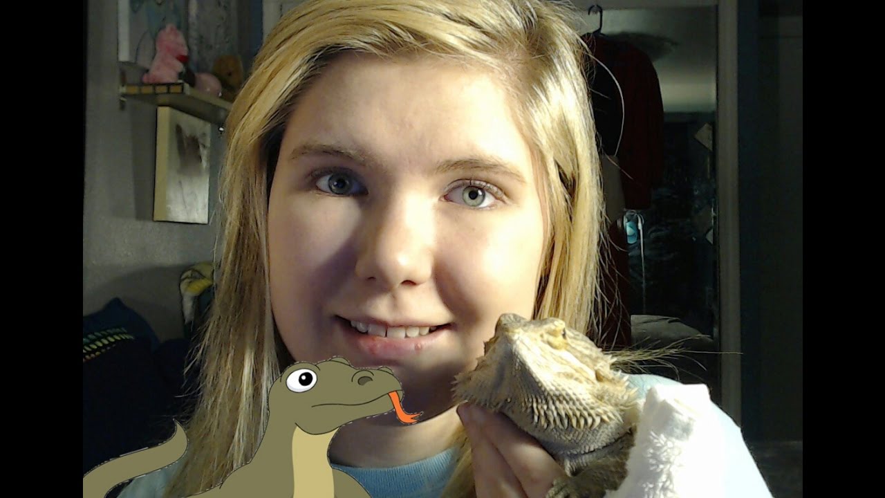 Komodo Dragons Youtube