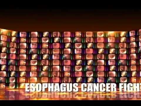 Gastrointestinal Endoscopy Animation Youtube