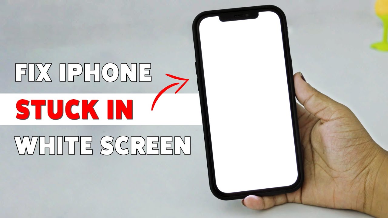 How To Fix Iphone Stuck In White Screen Solve Iphone White Display