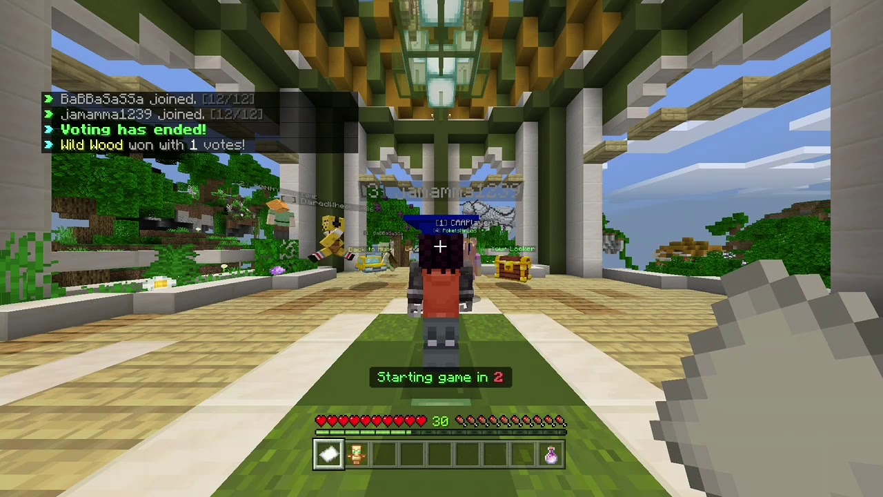 The Hive Skywars 1 Youtube