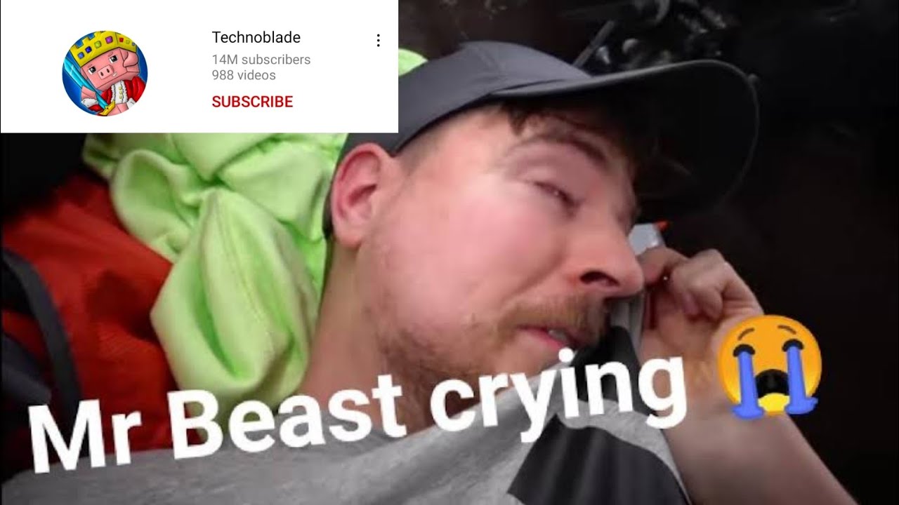 Mrbeast Last Message To Technoblade ёяшн Mr Beast Cry Youtube
