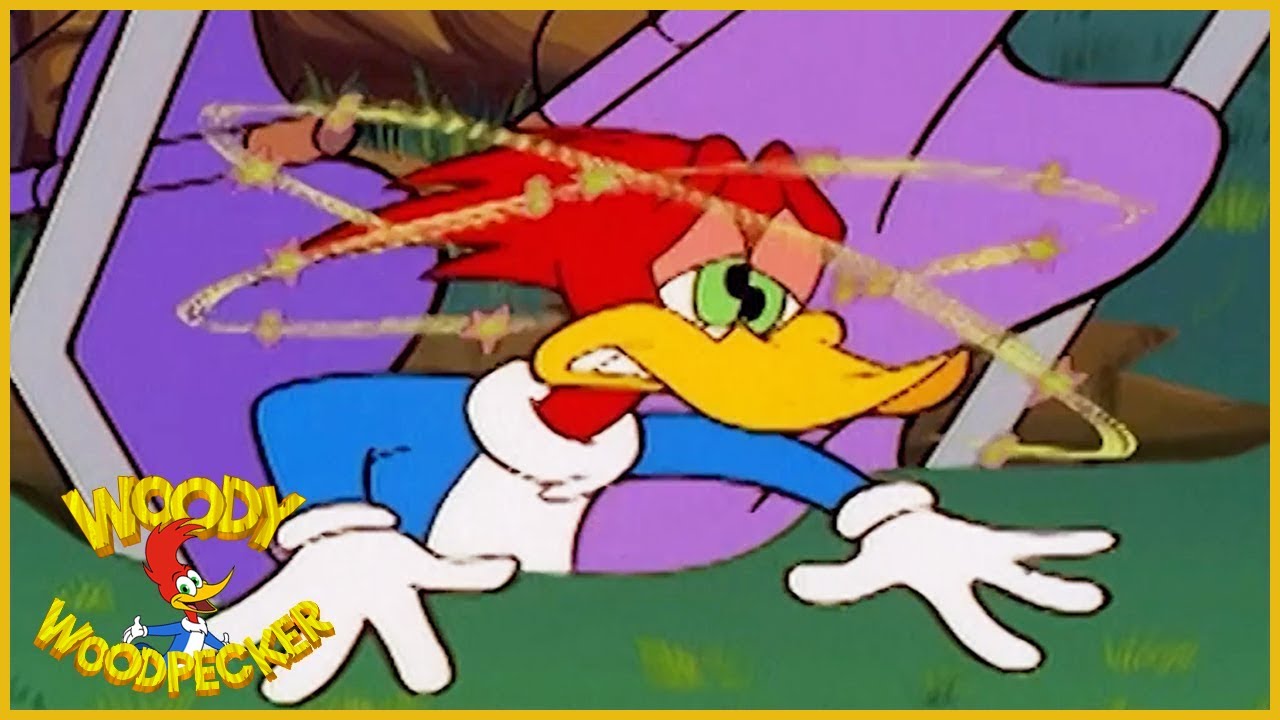 Woody Woodpecker Show Pecking Order 1 Hour Compilation Cartoons