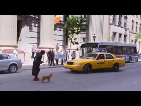 The Smurfs 2 Gargamel Youtube