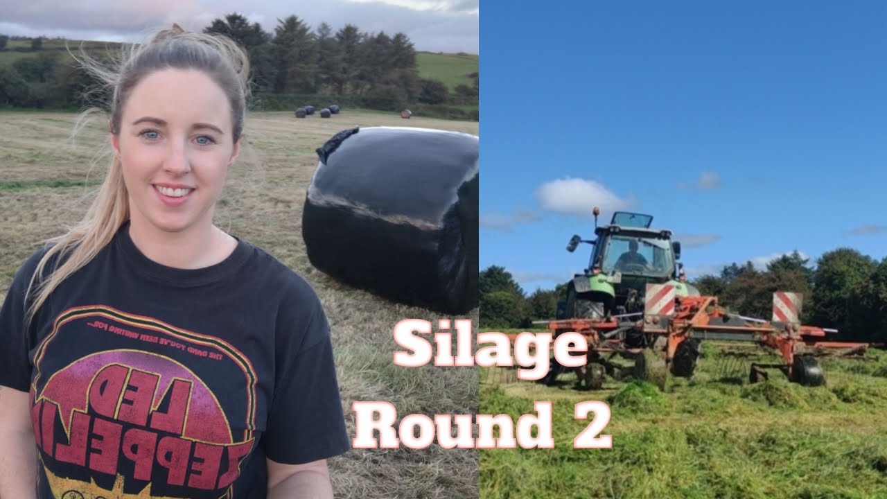 Silage Round 2 Youtube