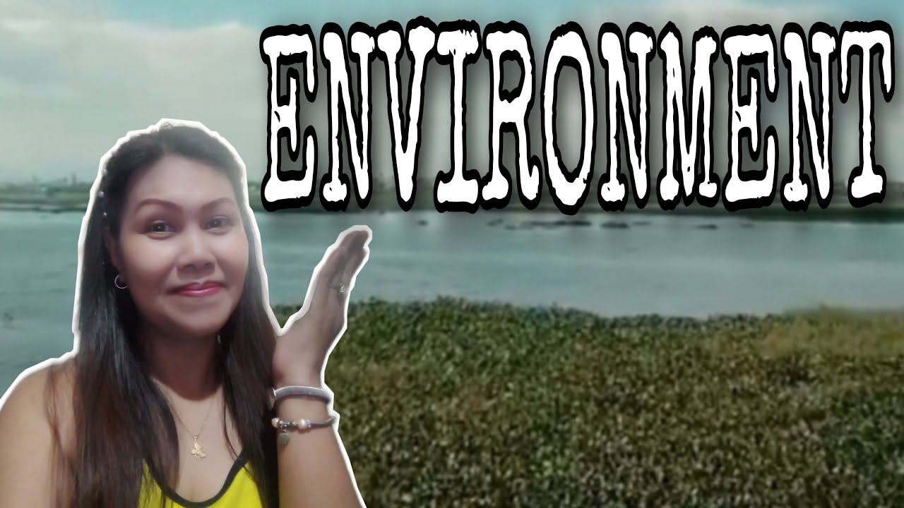 Environment Youtube