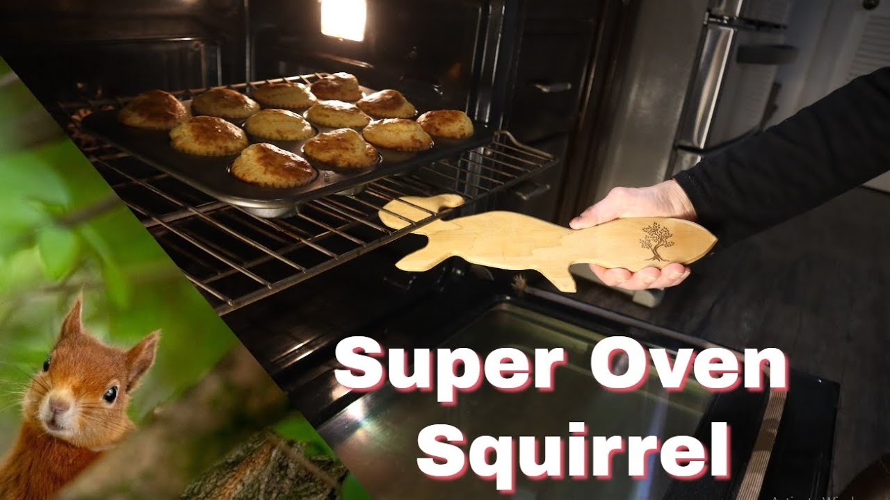 Woodworking Bandsaw Project Super Oven Squirrel If You Love