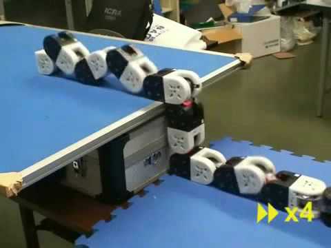 Snake Robot 3 Youtube