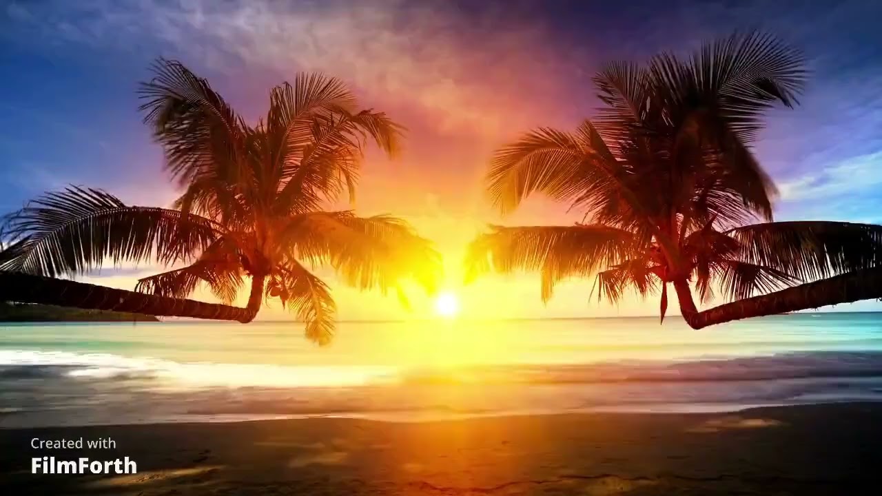 4k Uhd Tropical Beach Palm Trees On A Island Ocean Sounds Ocean
