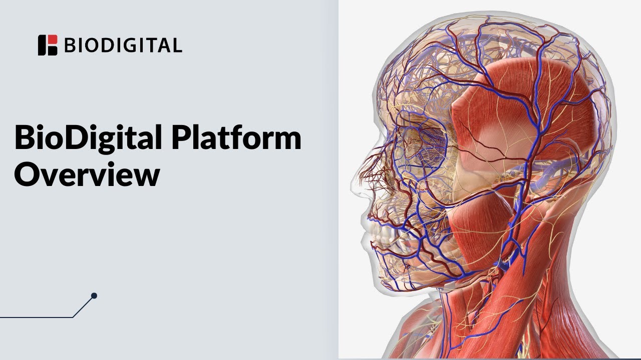 The Biodigital Human Platform Overview Youtube