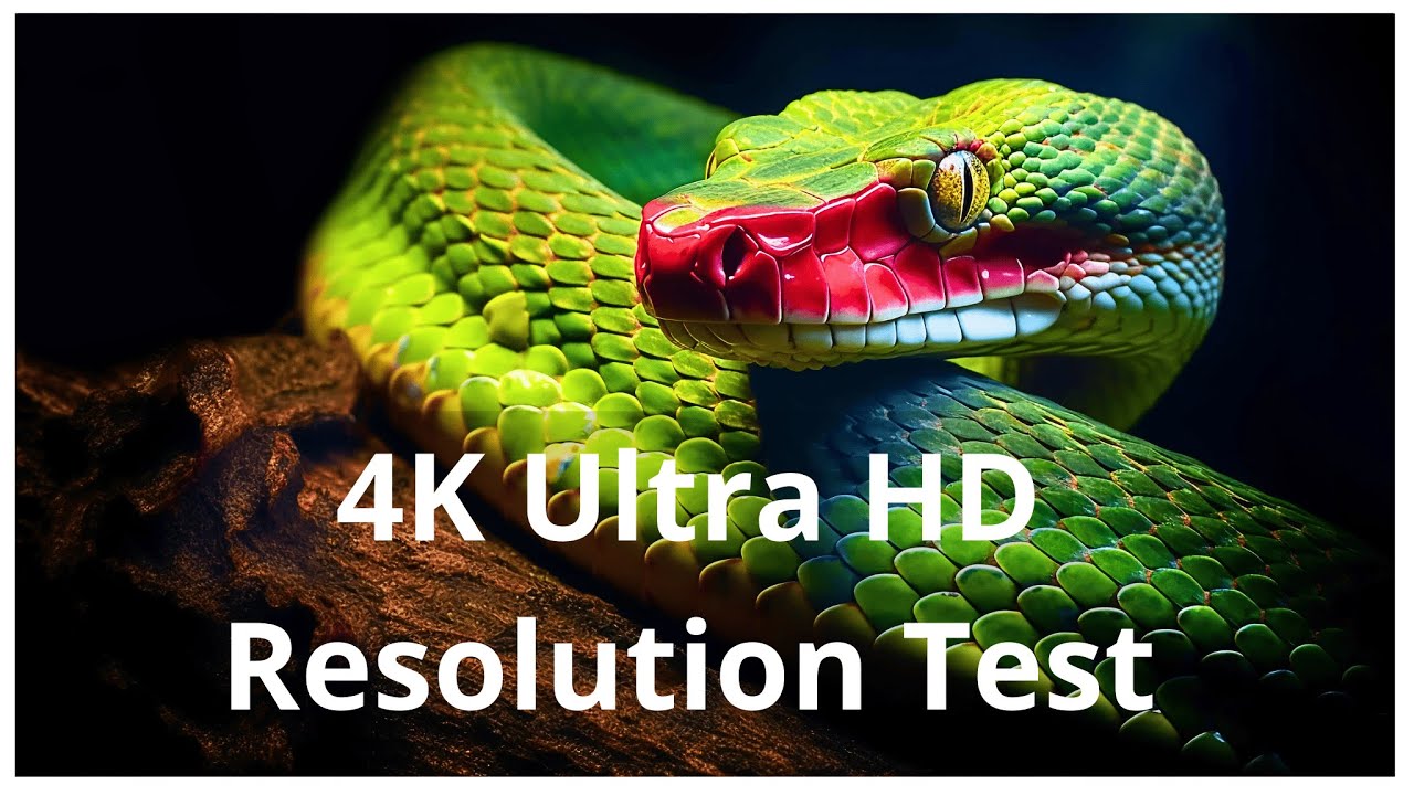 рџњќ 4k Ultra Hd Screen Test Pure Stunning Visuals Youtube