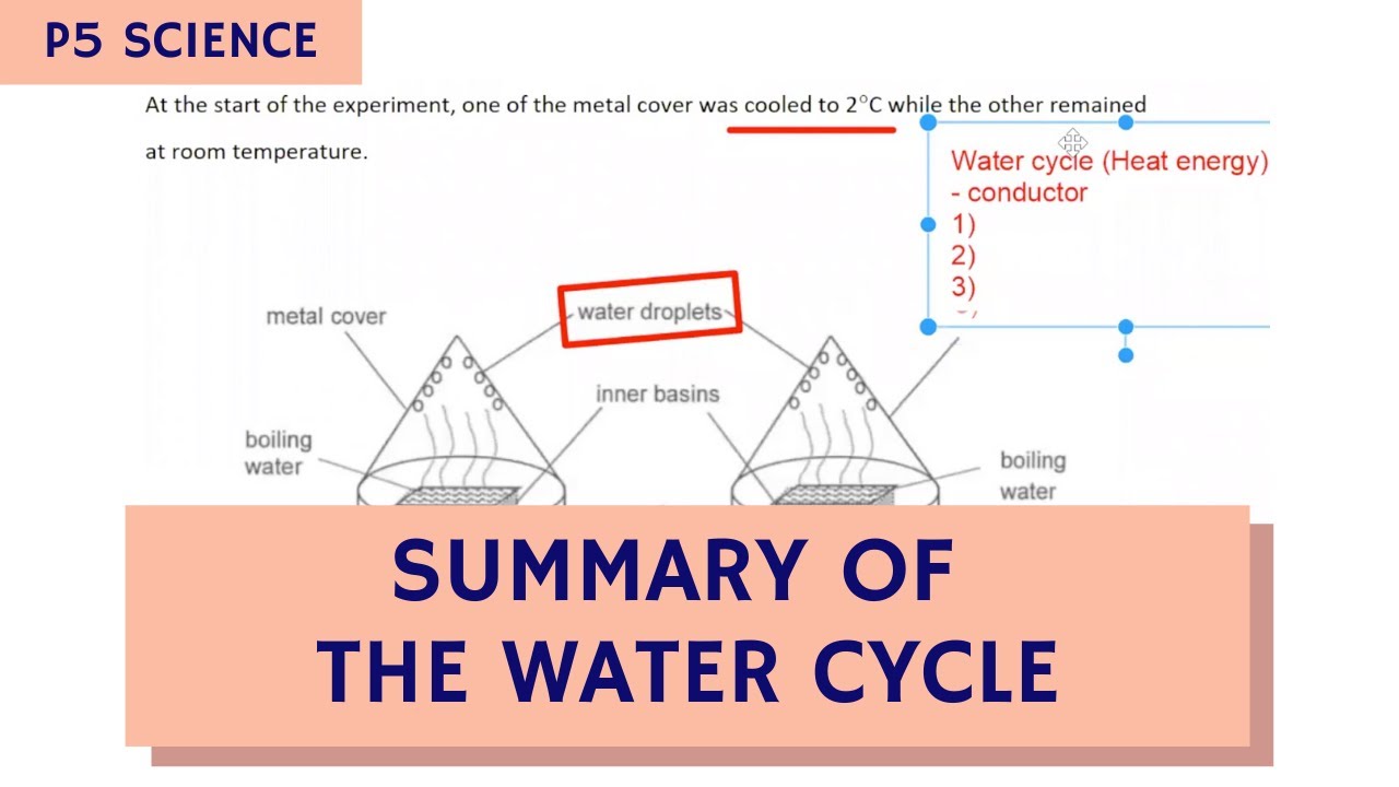 P5 Science Notes Pdf