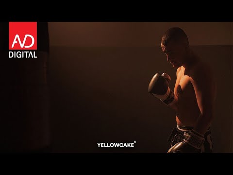 Don Xhoni Kokaina Lyrics