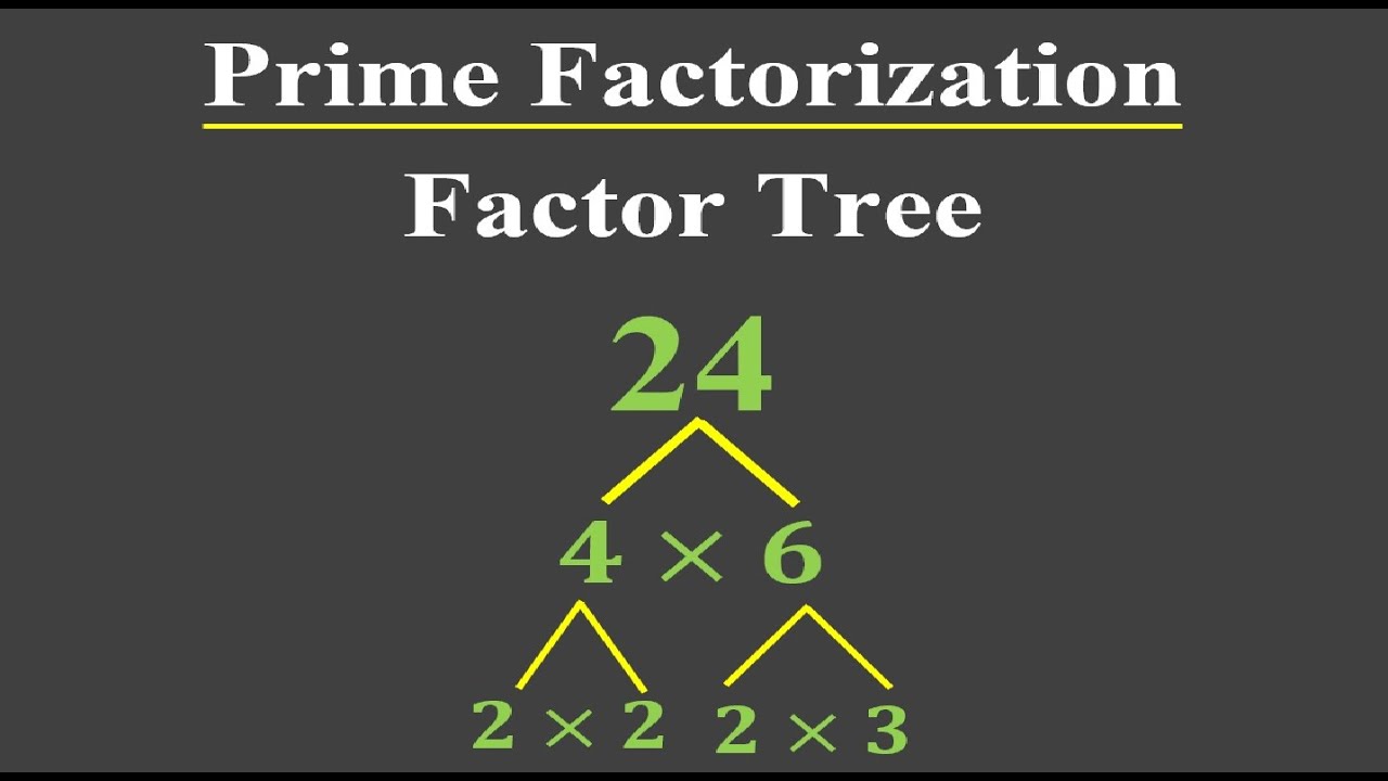 Prime Factorization Youtube
