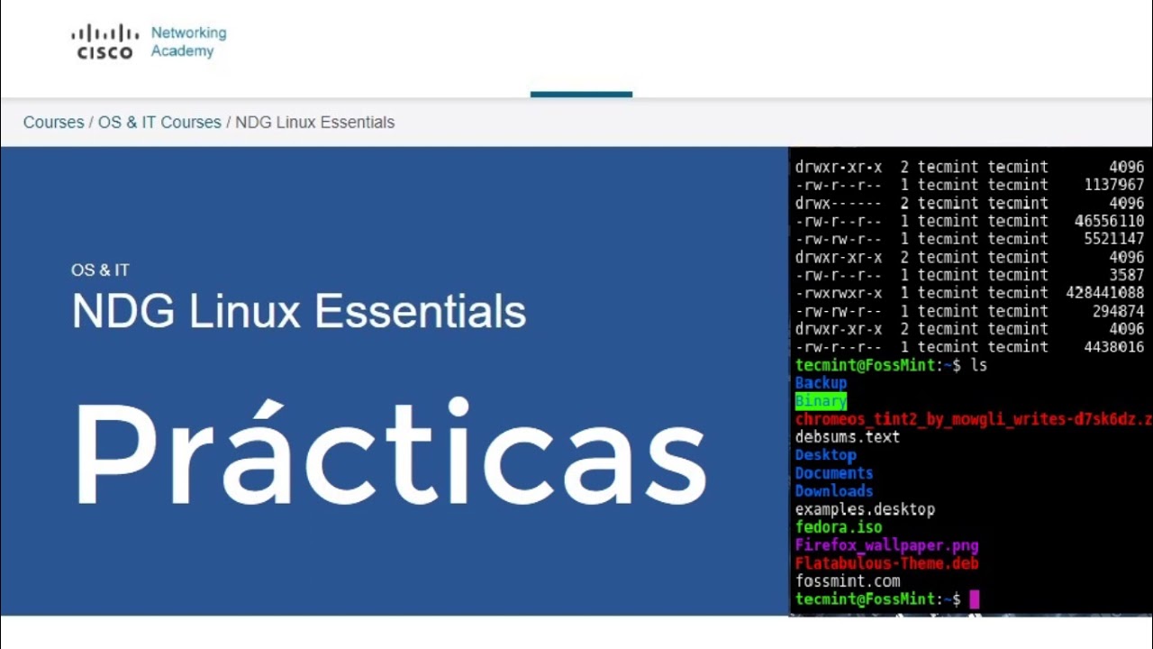 Linux Básico Ndg Linux Essentials Youtube