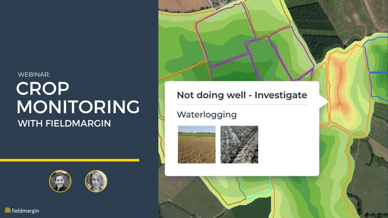 Webinar Crop Monitoring With Fieldmargin Youtube