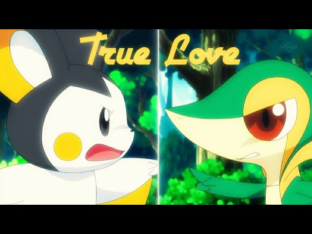 Emolga E Snivy