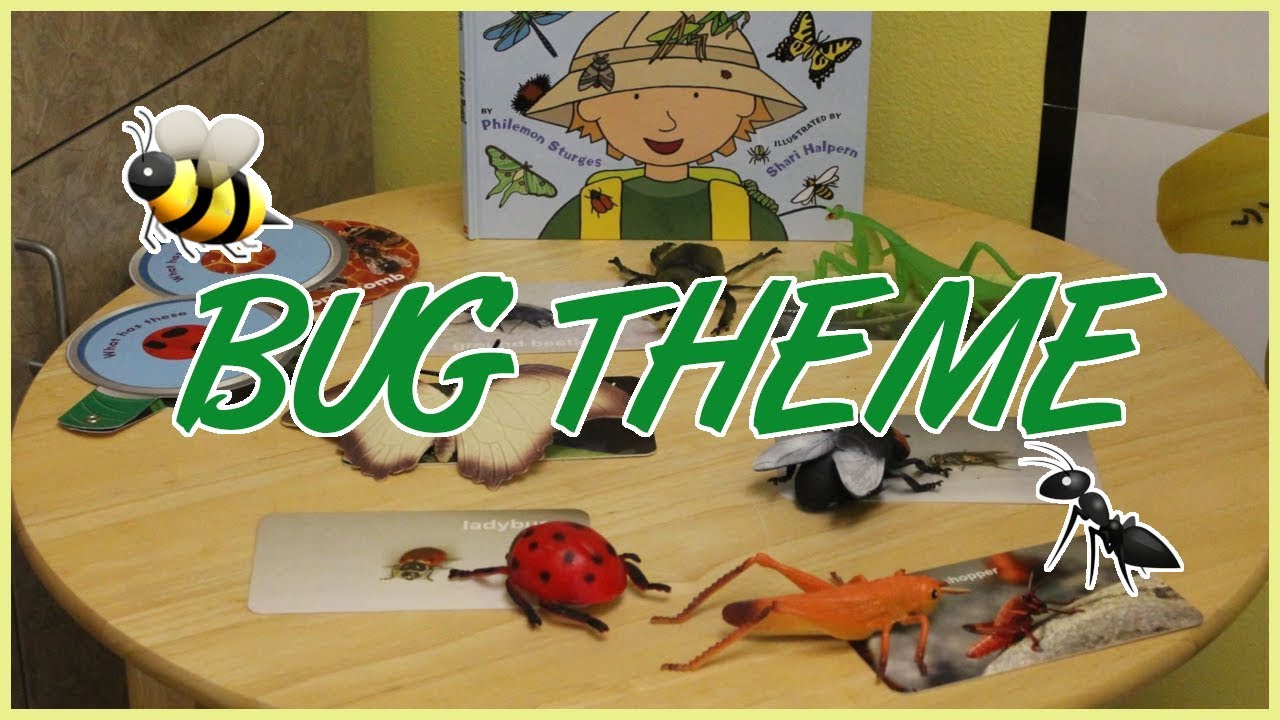 Bug Theme Classroom