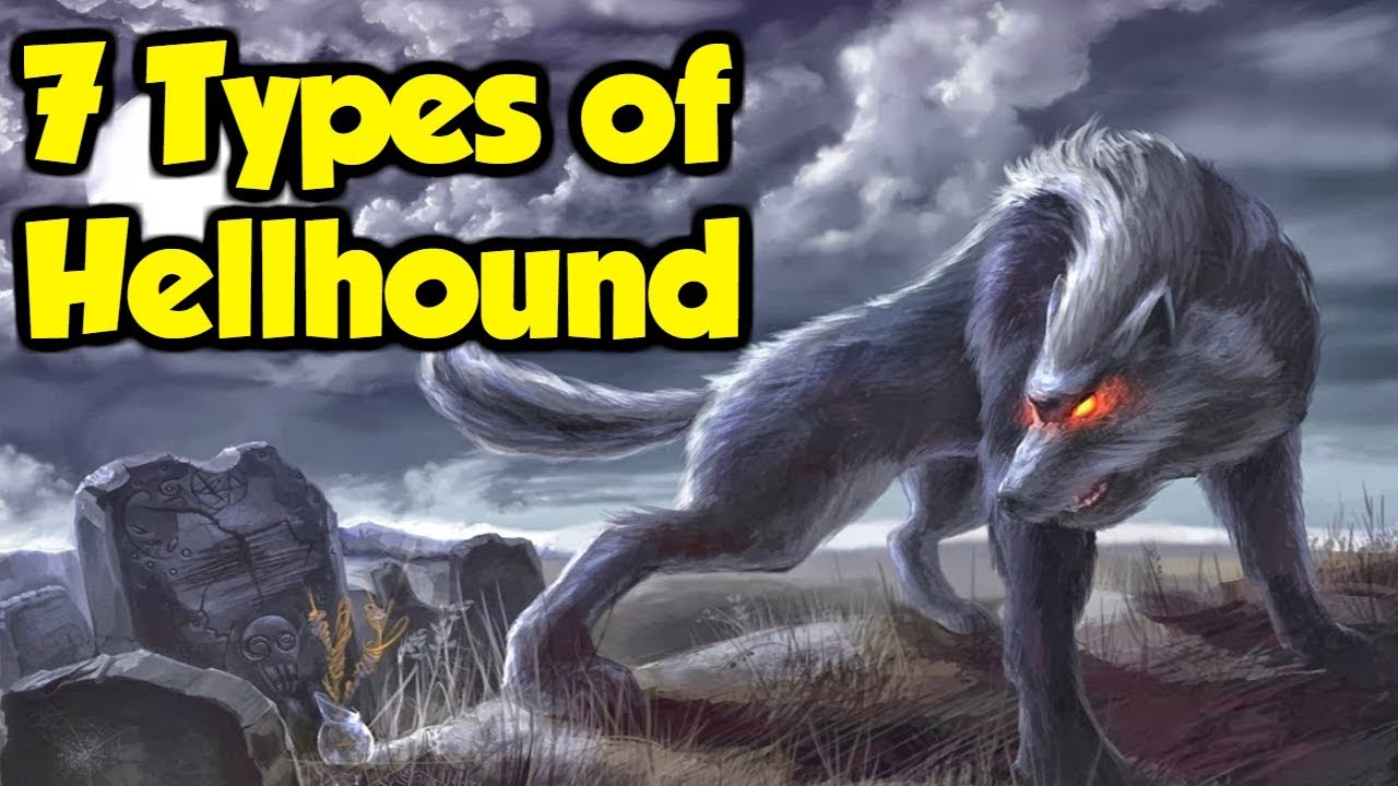 Hellhound Dog Real Life