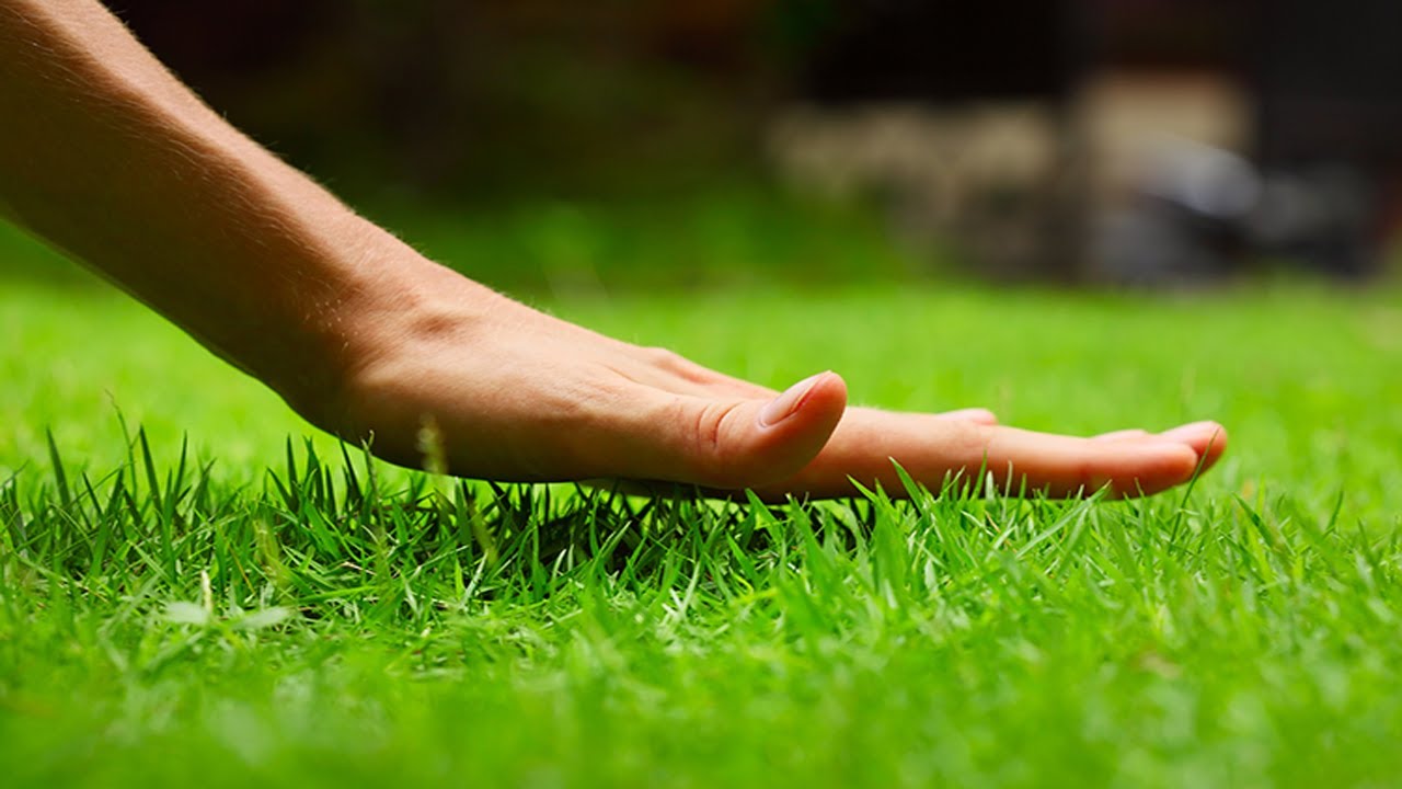 How To Touch Grass Youtube