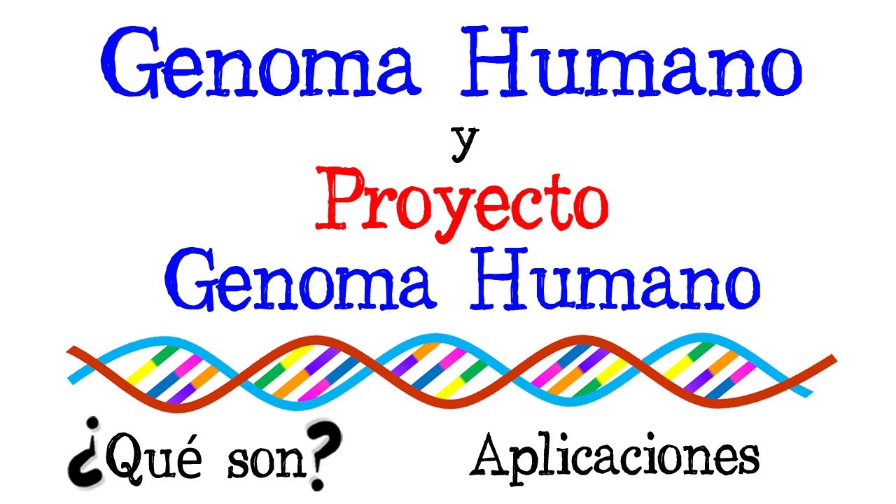 ёятйel Genoma Humano Y Proyecto Genoma Humano Ejemplos Y Aplicacionesёяси