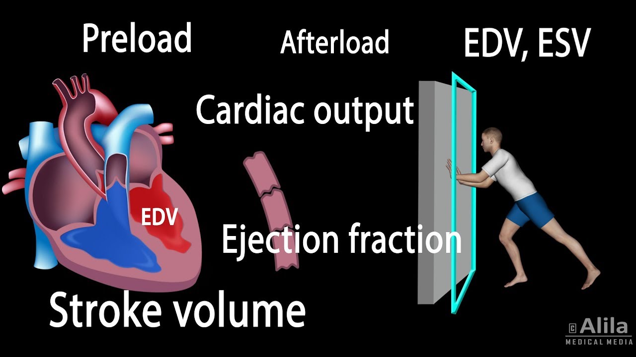 Cardiac Output Stroke Volume Edv Esv Ejection Fraction Youtube