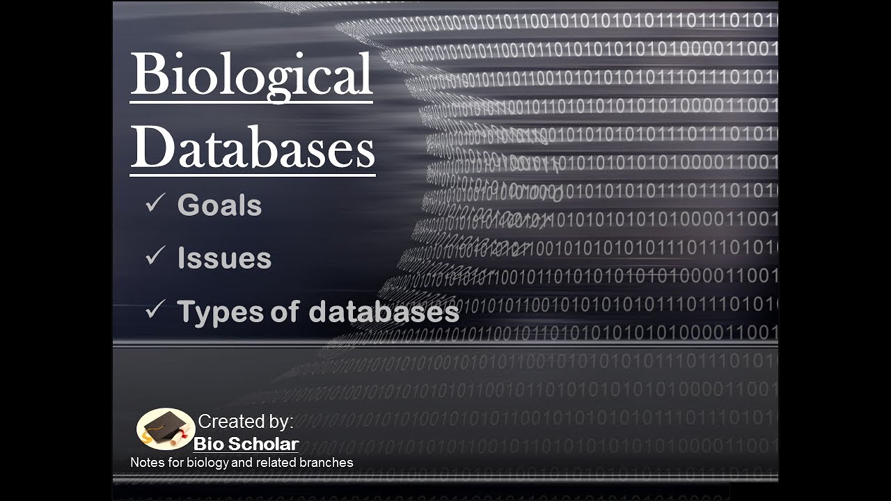 Biological Databases In Bioinformatics Youtube